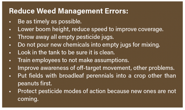 Top 5 Common Weed Problems - Peanut Grower
